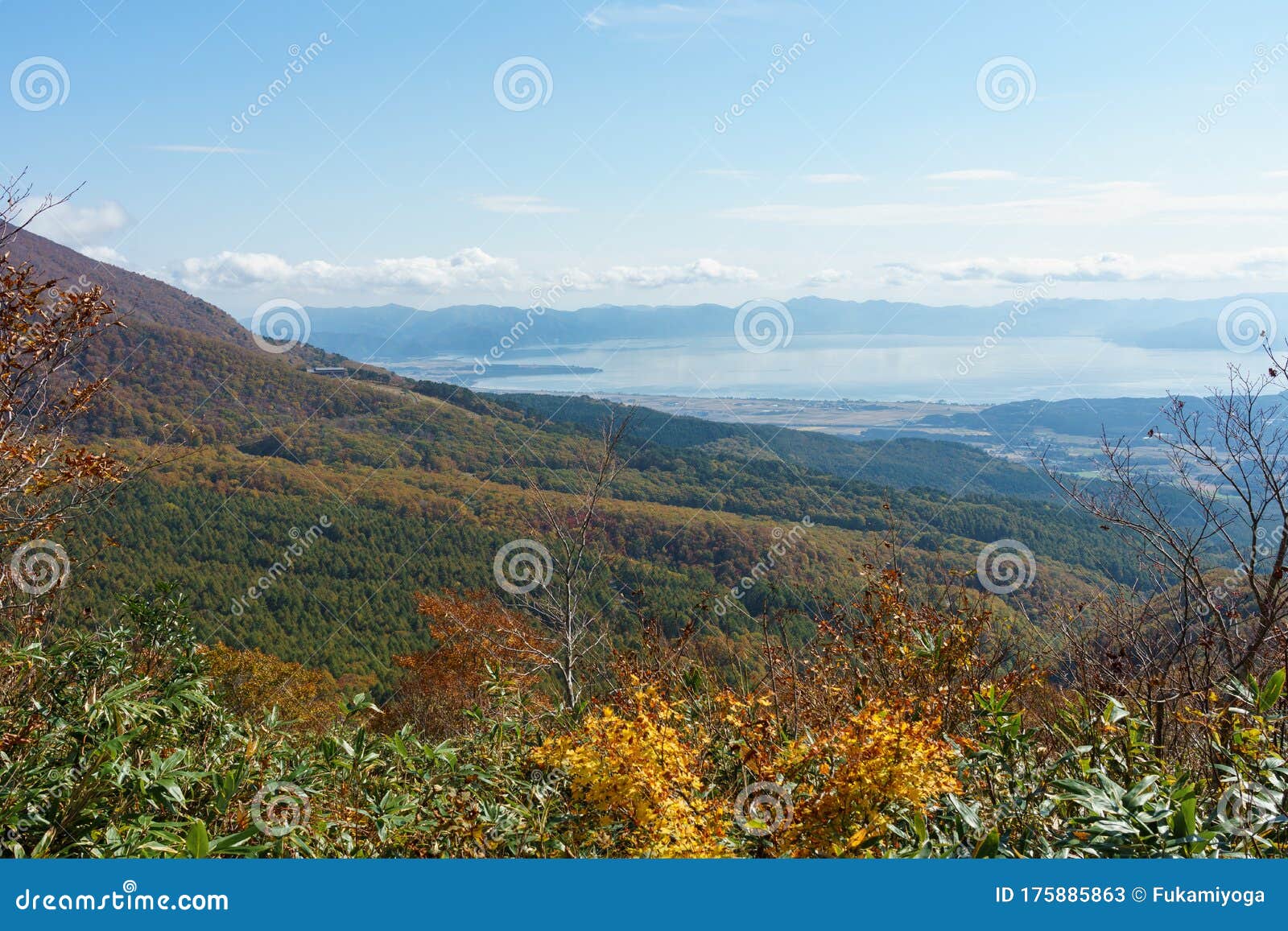 Fukushima Sightseeing Area in Japan Stock Image - Image of plants ...