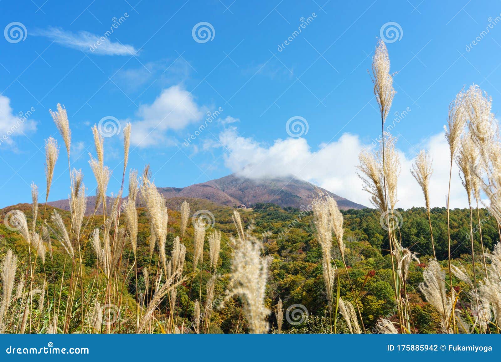 Fukushima Sightseeing Area in Japan Stock Photo - Image of gold ...