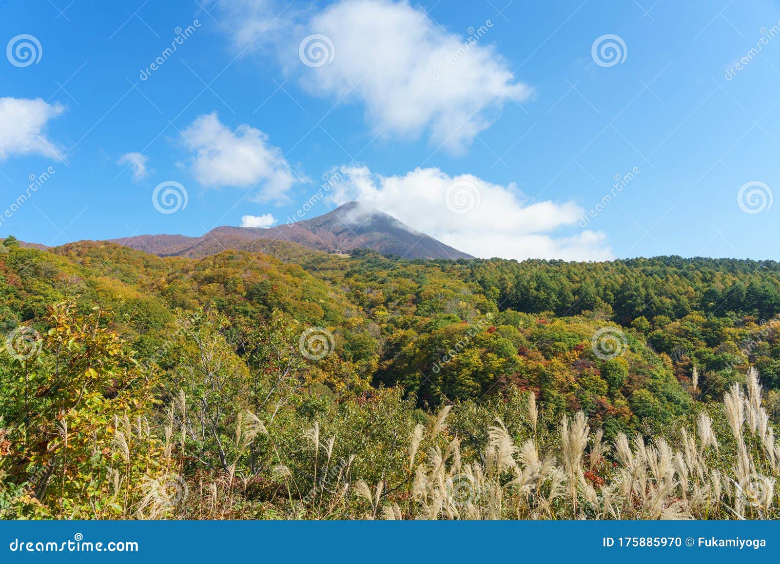 Fukushima Sightseeing Area in Japan Stock Photo - Image of gold, japan ...