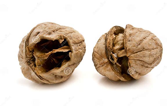 Ful and empty nuts stock photo. Image of shot, small - 12703830