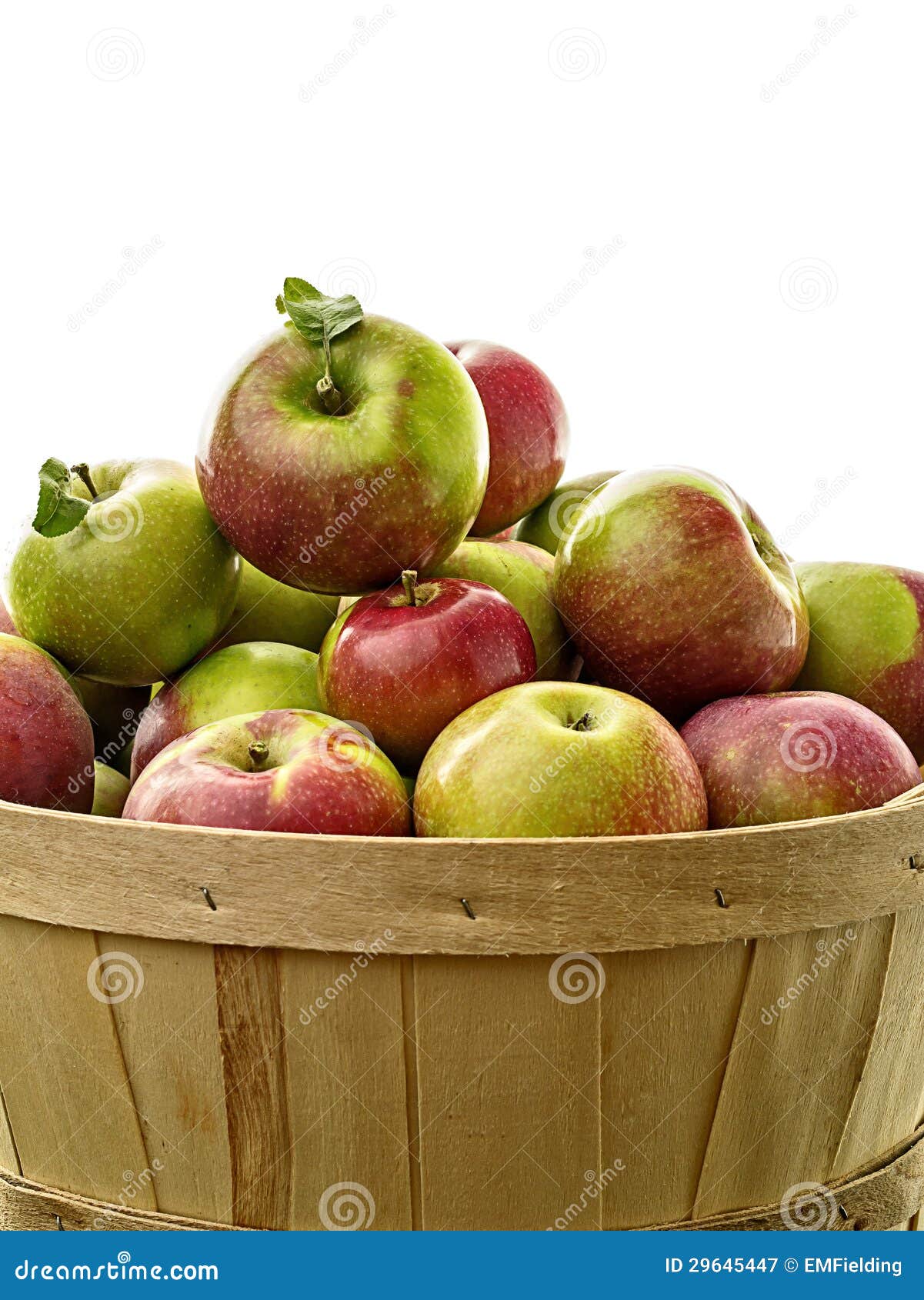 Full basket of apples stock image. Image of apples, pick - 29645447