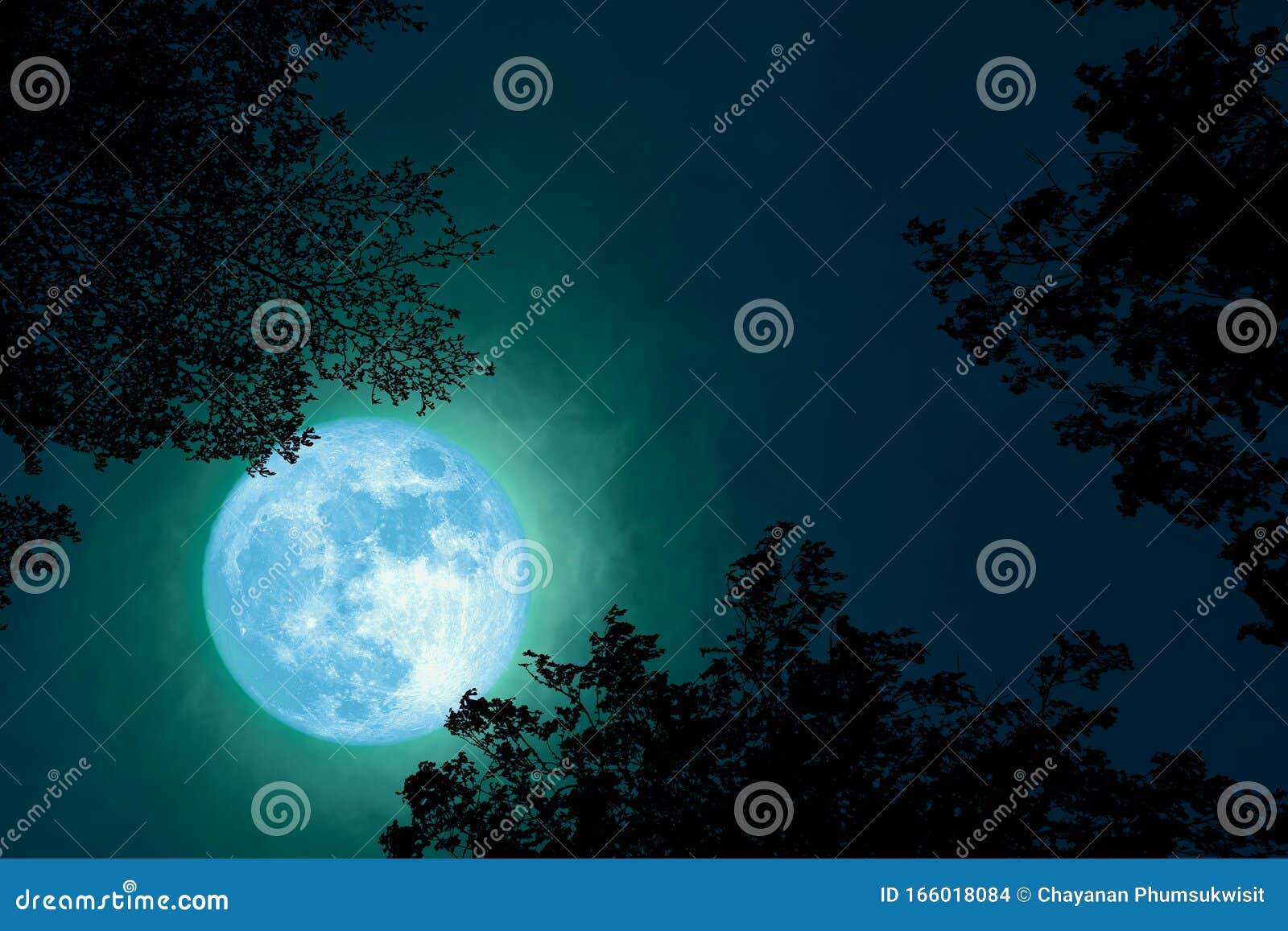 Full Beaver Moon On Dark Cloud On The Night Sky Royalty-Free Stock ...