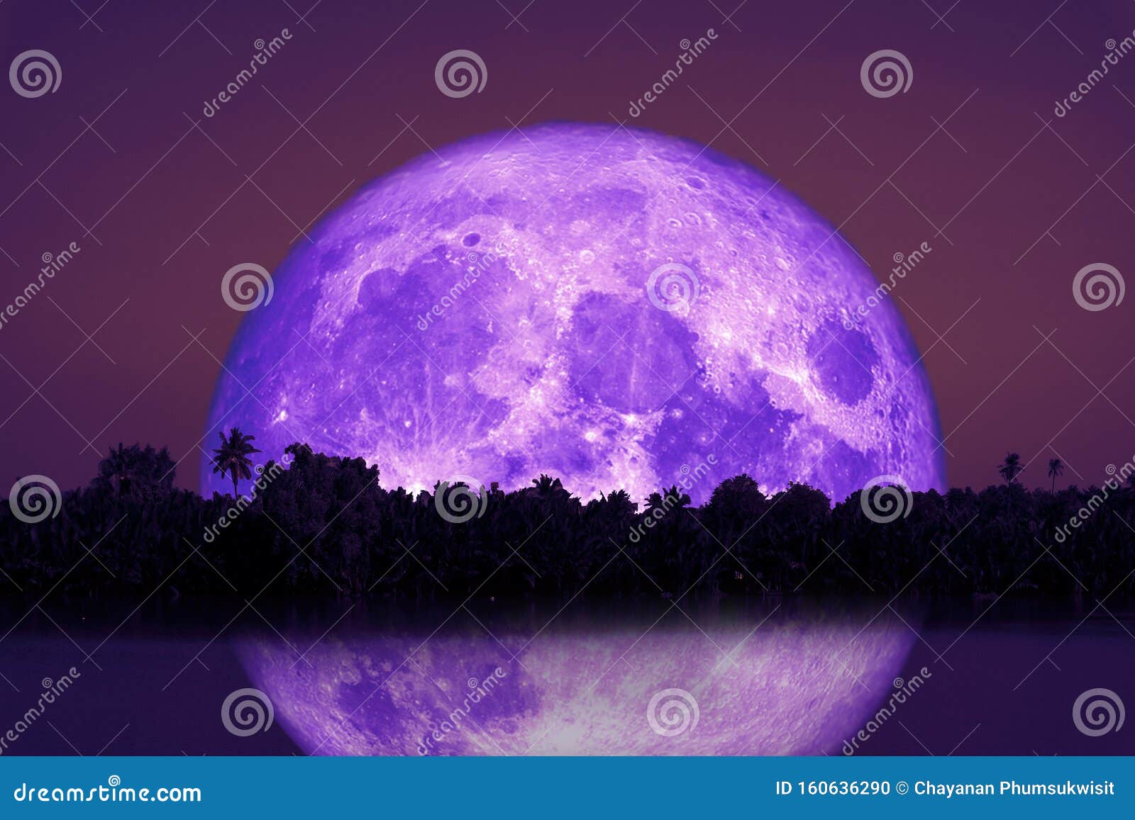 Full Beaver Moon On Dark Cloud On The Night Sky Royalty-Free Stock ...