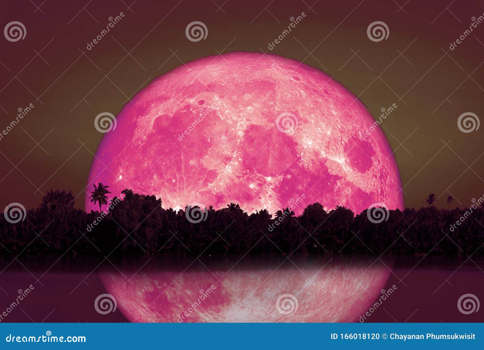 Full Beaver Moon On Dark Cloud On The Night Sky Royalty-Free Stock ...