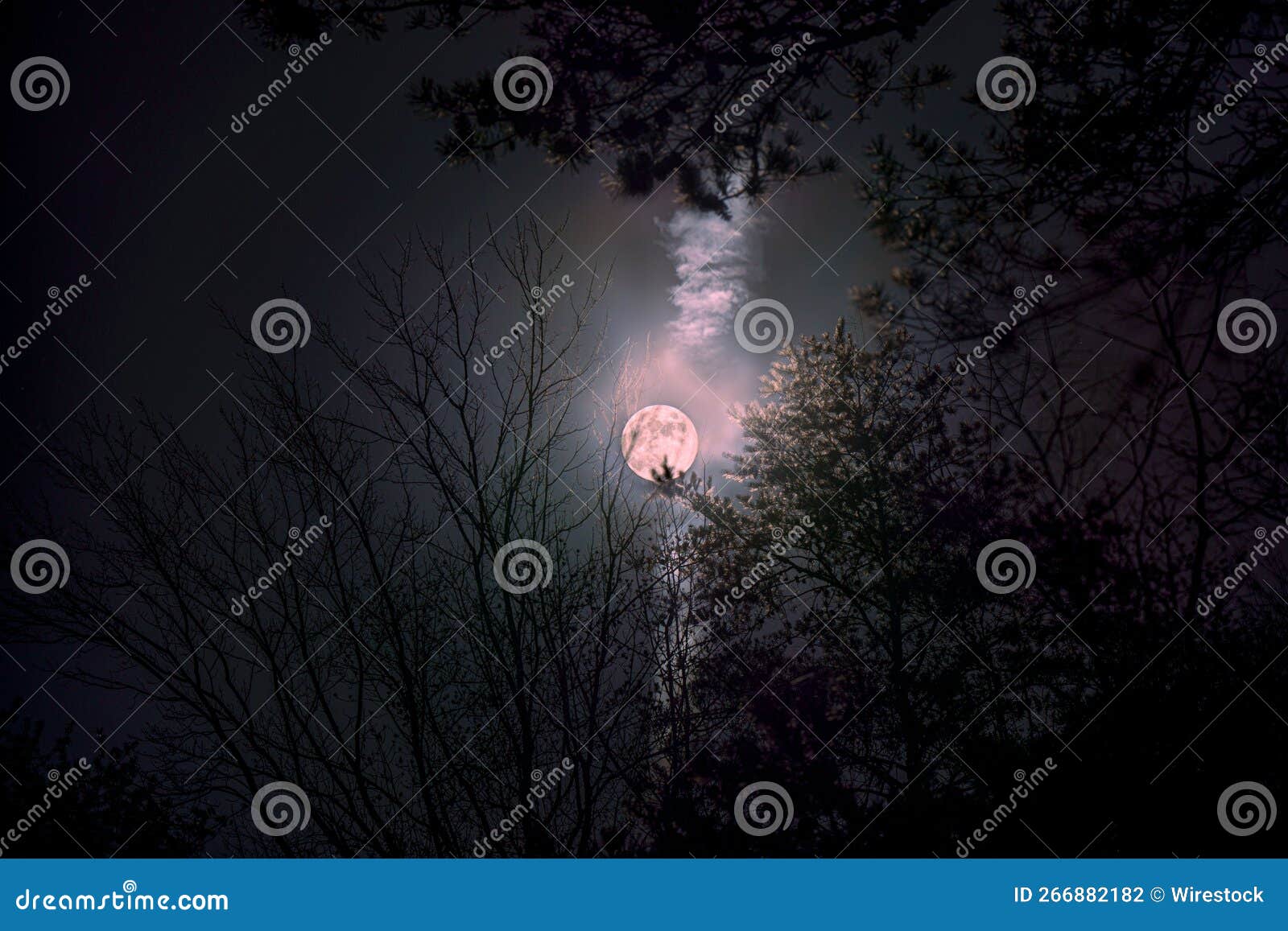 Full Blood Moon in Night Sky Behind Trees Stock Photo - Image of moon ...