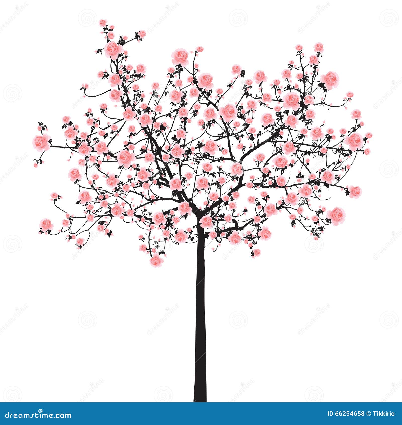 Full bloom sakura tree stock vector. Illustration of leaf - 66254658