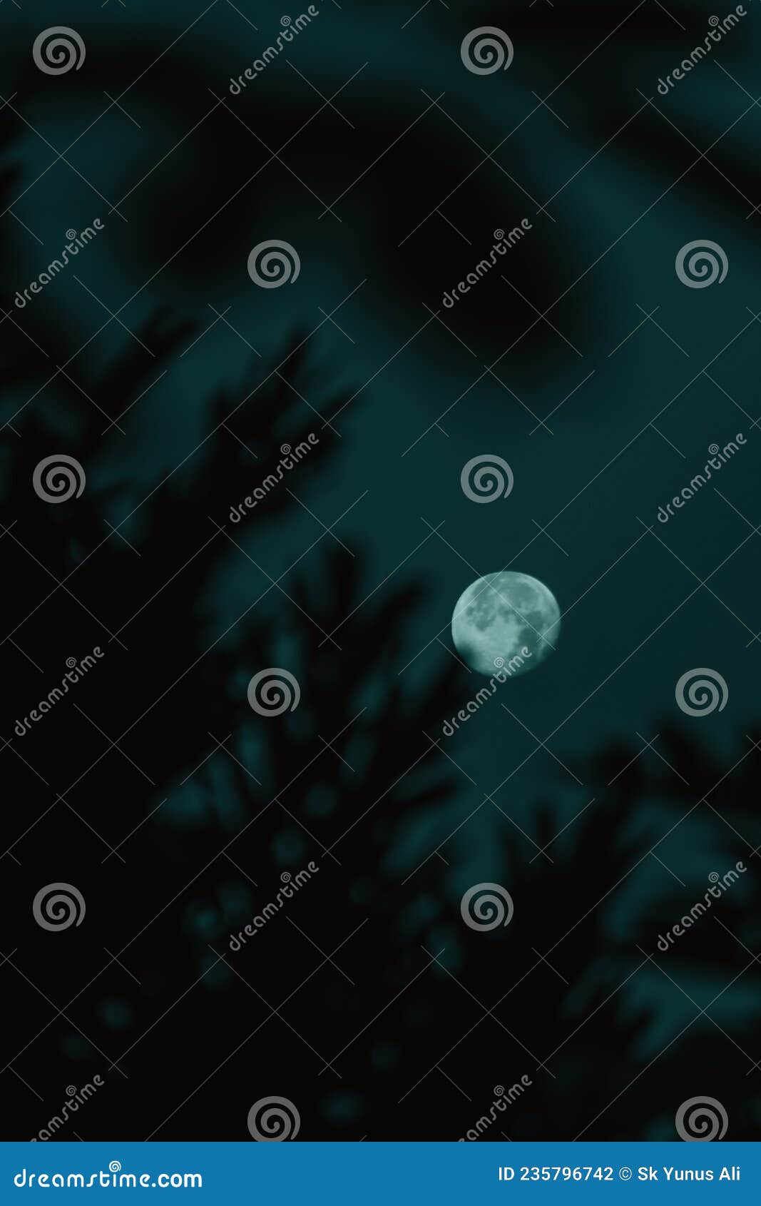 Full Blue Moon Night Sky Winter Nature Stock Photo - Image of blue ...