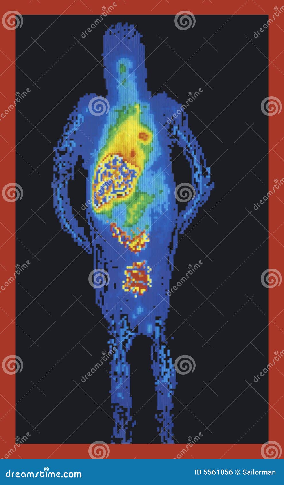 Full Body Medical Scan Royalty Free Stock Image - Image: 5561056