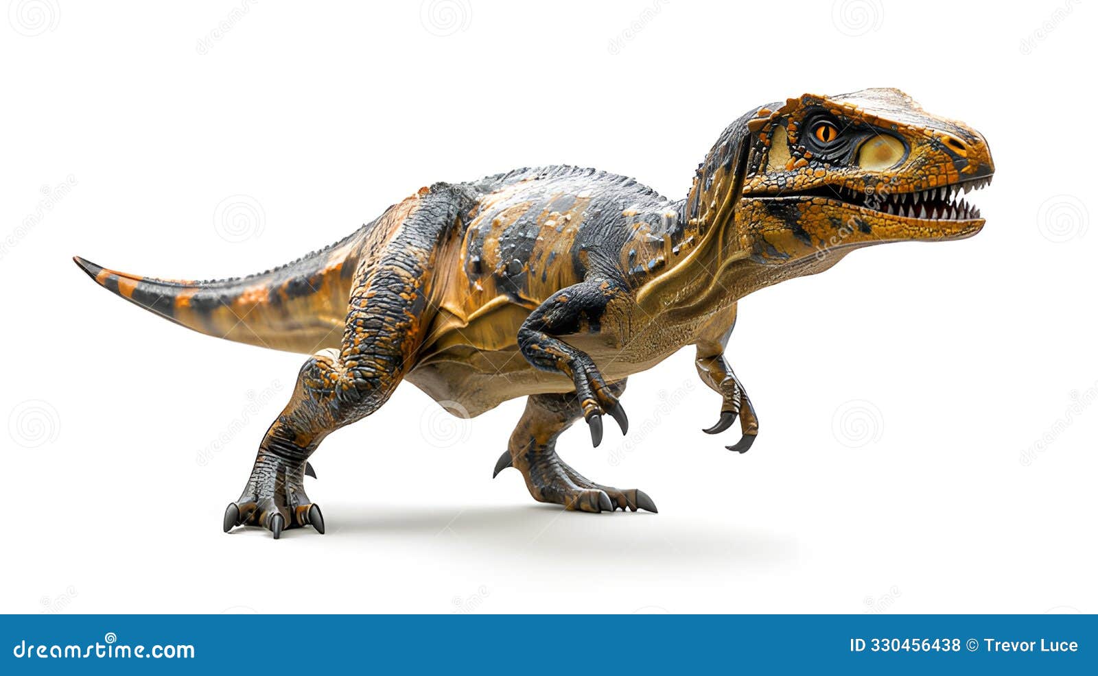 Full-Body Side Profile of an Allosaurus Stock Illustration ...
