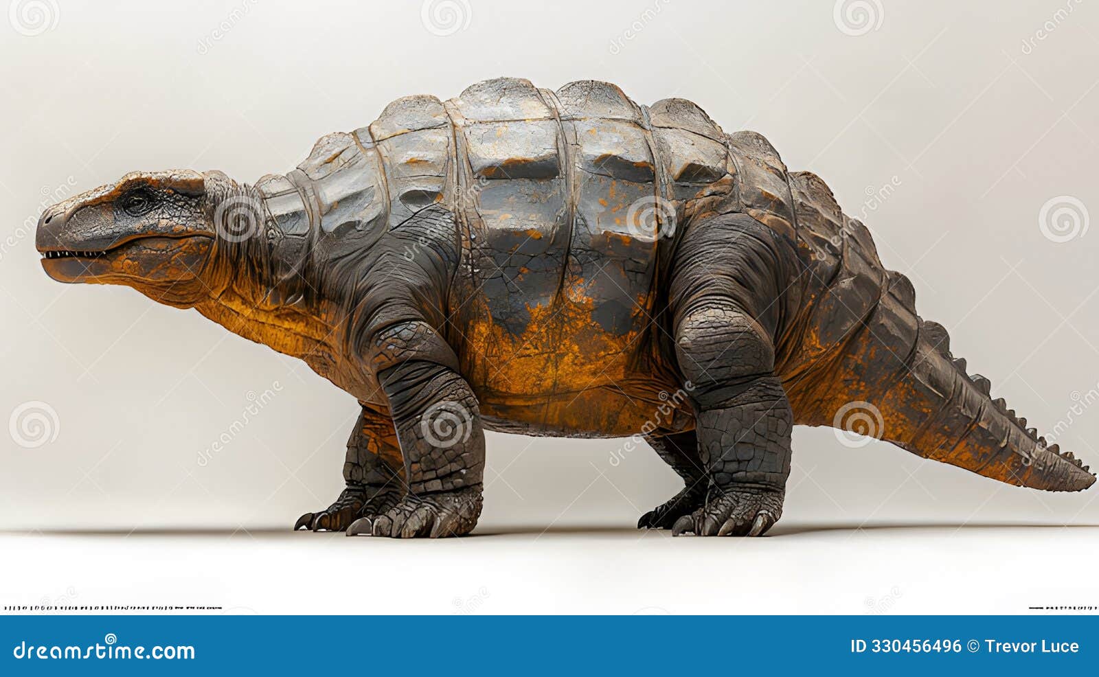 Full-Body Side Profile Of An Ankylosaurus Royalty-Free Stock Image ...