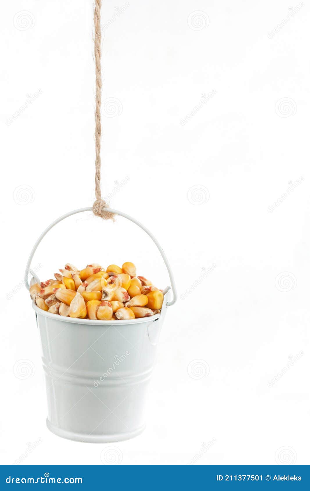 A Full Bucket of Corn Grains Hanging from a Rope Stock Image - Image of ...