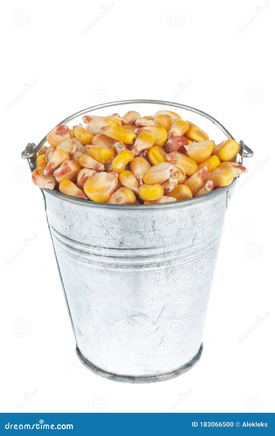 Full Bucket of Corn Grains on a White Background Stock Photo - Image of ...