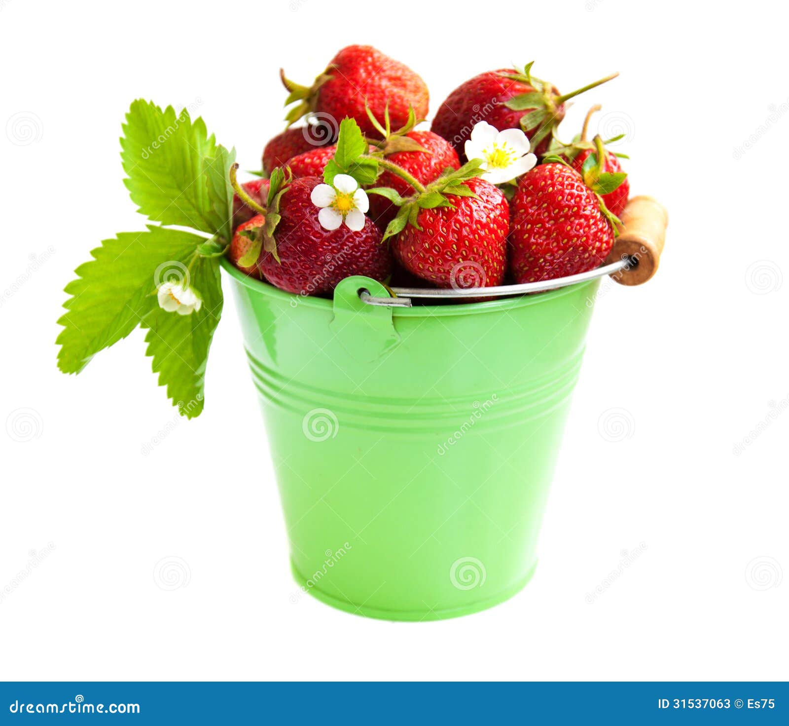 Full bucket of strawberry stock image. Image of juicy - 31537063