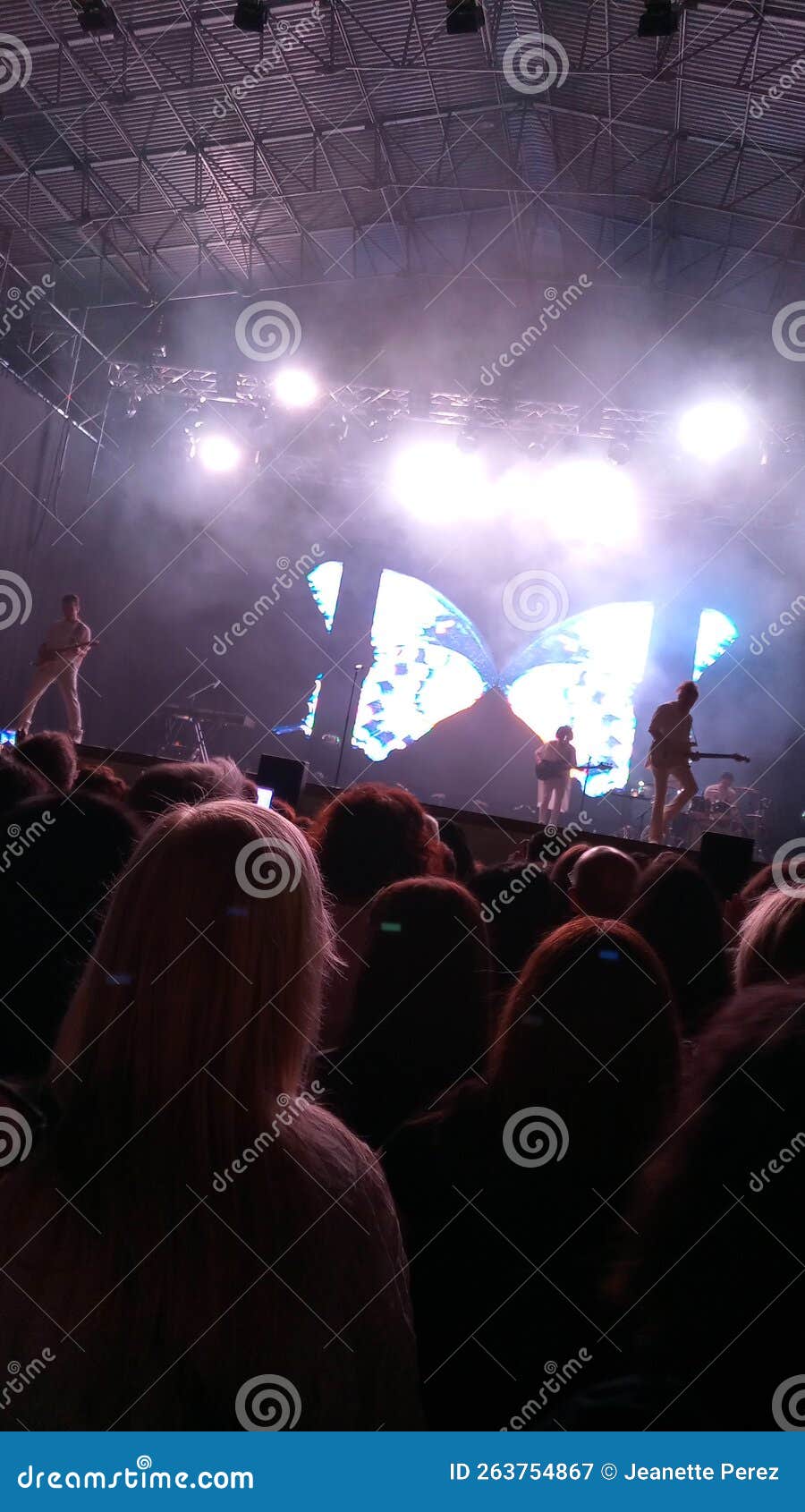 Full Capacity Night Concert Stock Image - Image of musician, people ...