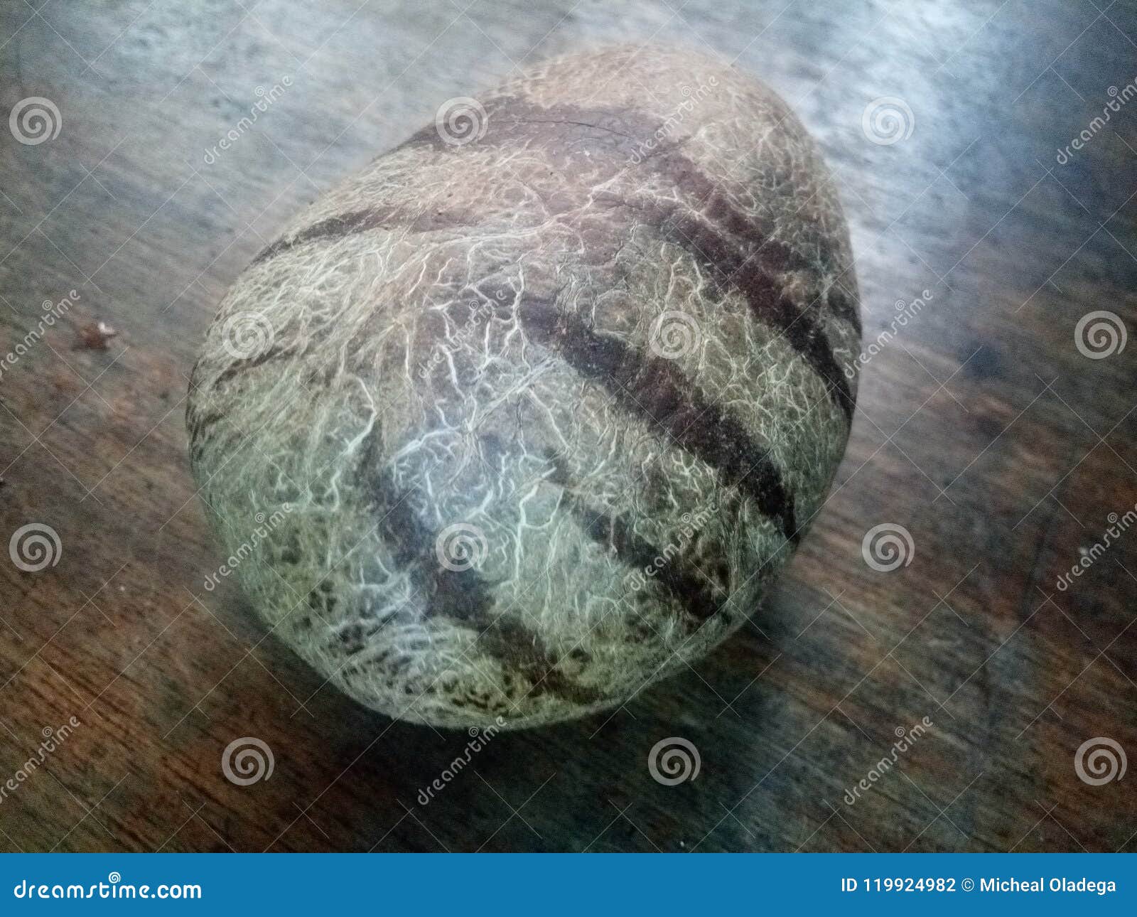 Full coconut stock photo. Image of shell, full, breaking - 119924982