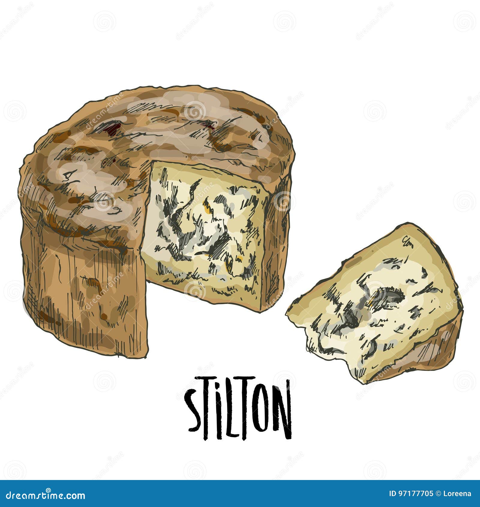Stilton Cheese With Radish Digital Art Illustration Isolated On White ...