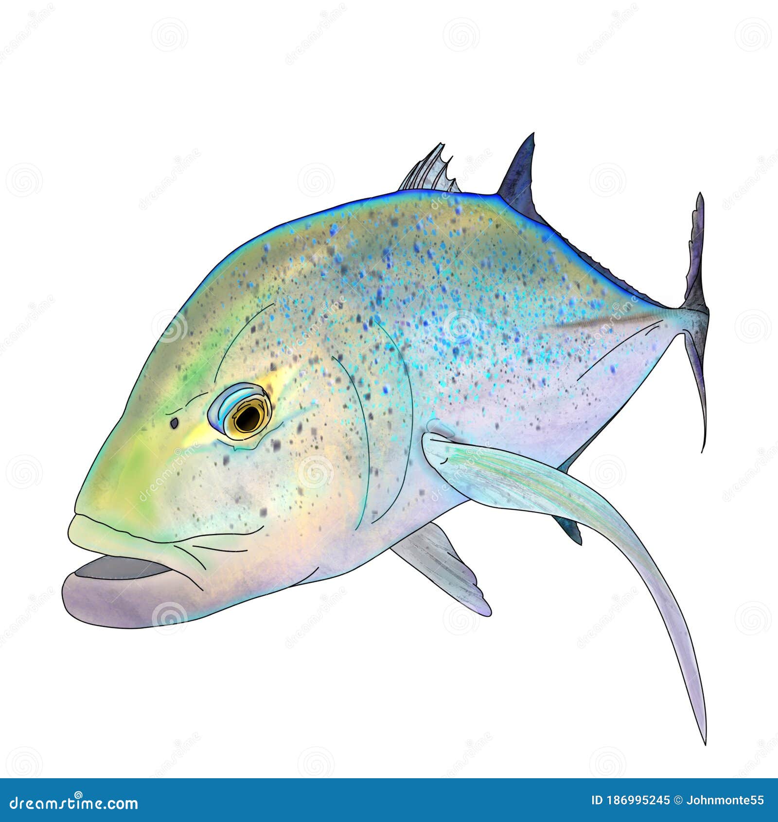A Full Colored Solo Trevally Fish or Jack Fish Stock Illustration ...