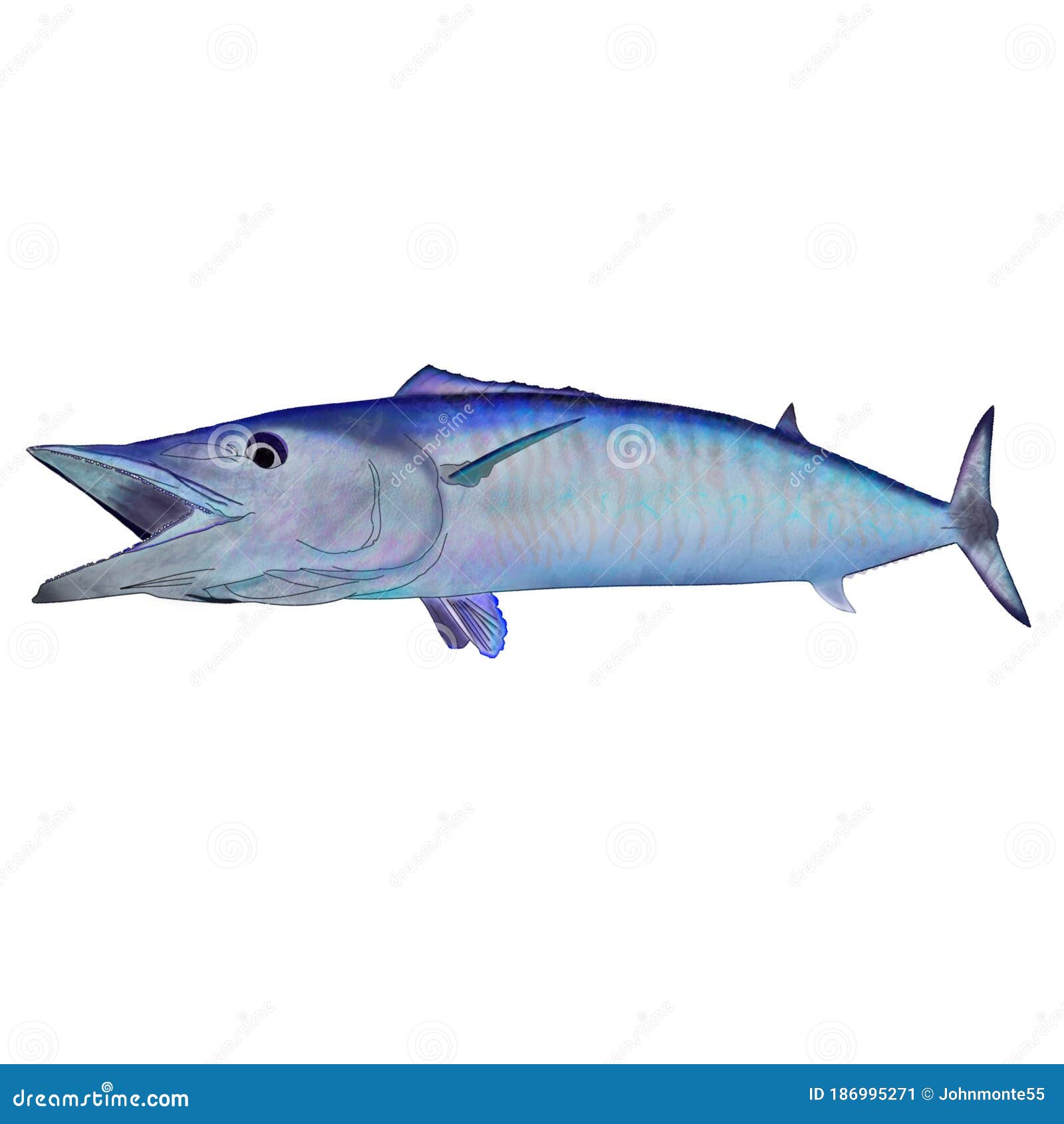 A full colored wahoo fish stock illustration. Illustration of deep ...