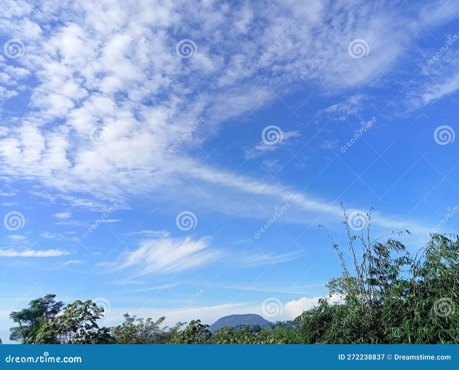 Full colour cloud stock image. Image of full, clou, horizon - 272238837