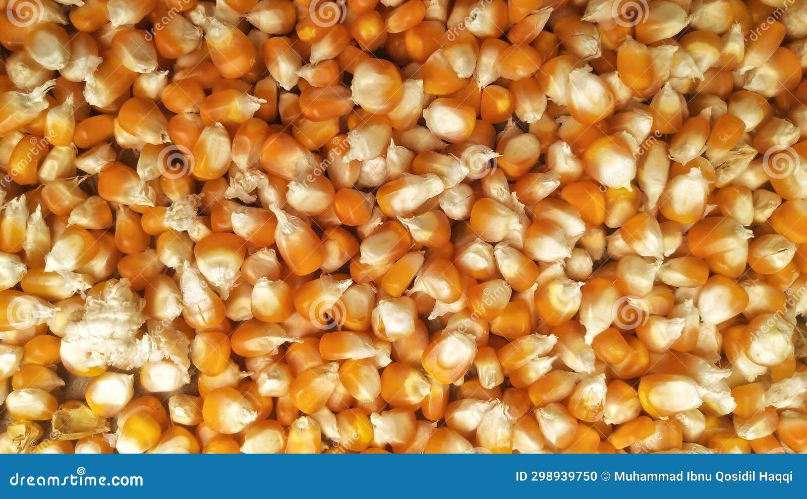Full Corn Grains in the Background, Top View Stock Photo - Image of ...