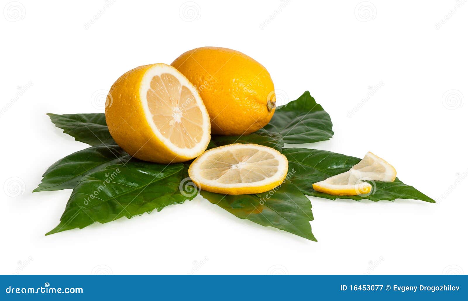 Full And Cross Section Of Yellow Lemon Stock Image - Image of full ...