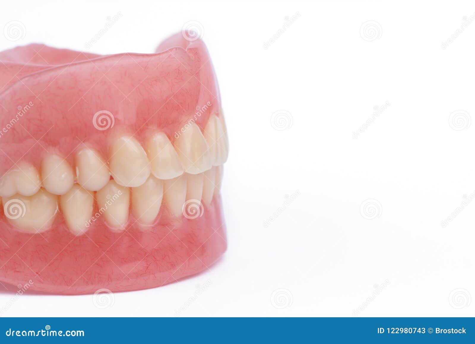 Full Denture Dentures Close-up on White Background Stock Image - Image ...