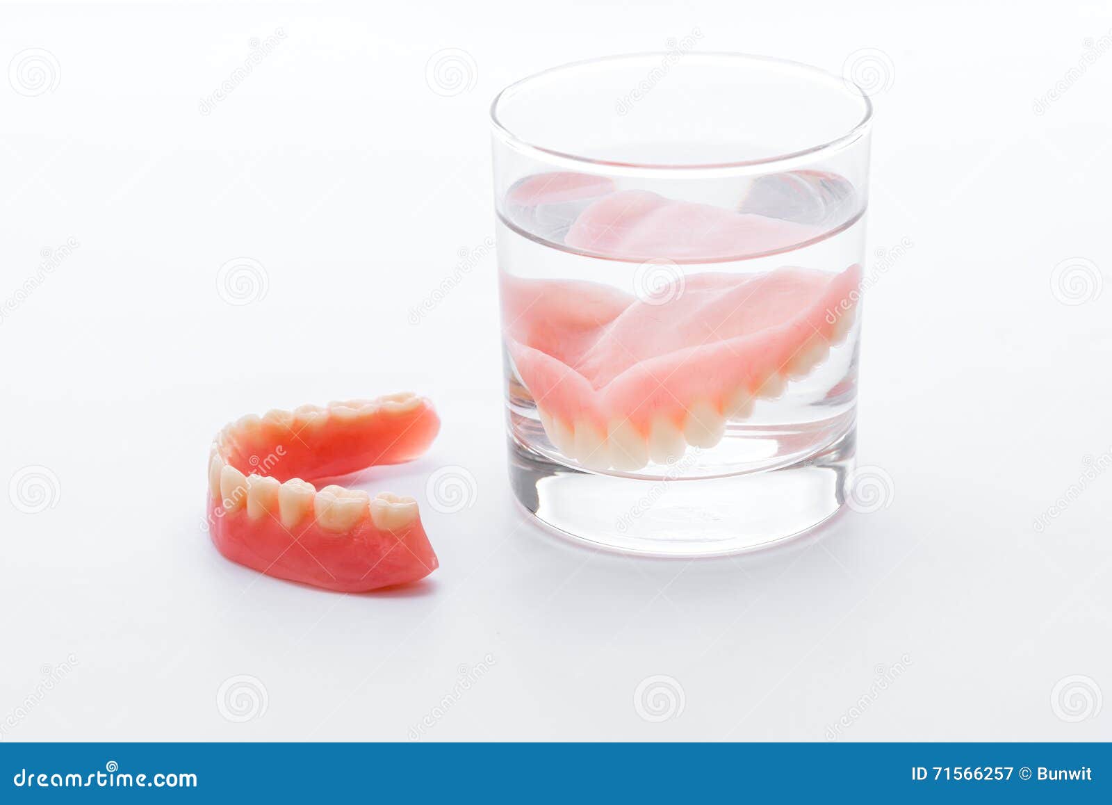 Full Denture in Glass of Water on White Background Stock Image - Image ...