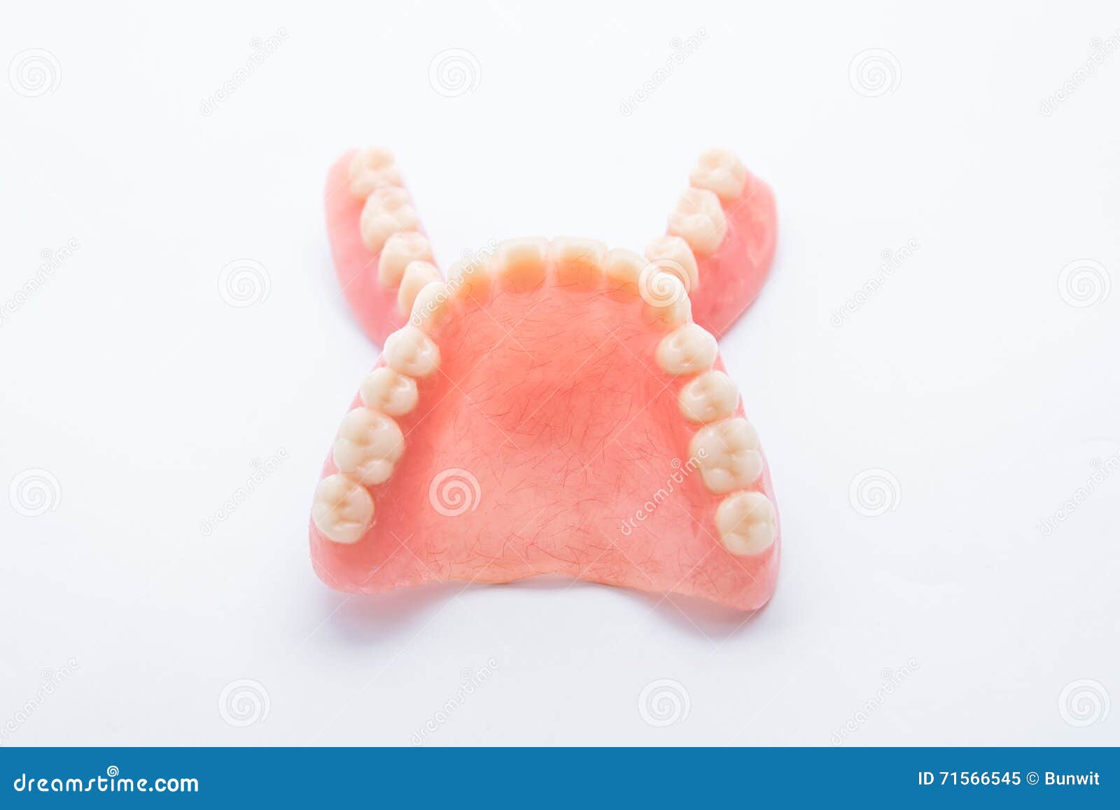 Full Denture on White Background Stock Image - Image of full, dental ...