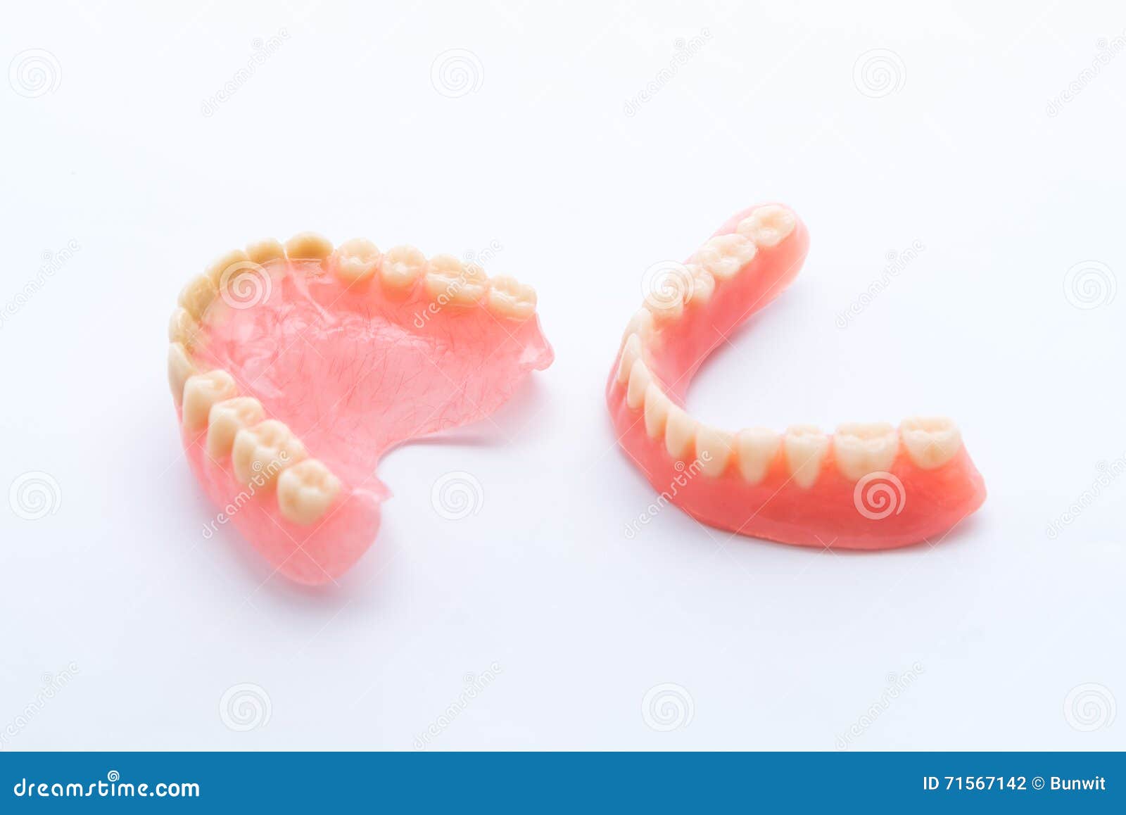 Full Denture on White Background Stock Photo - Image of cast, dentist ...