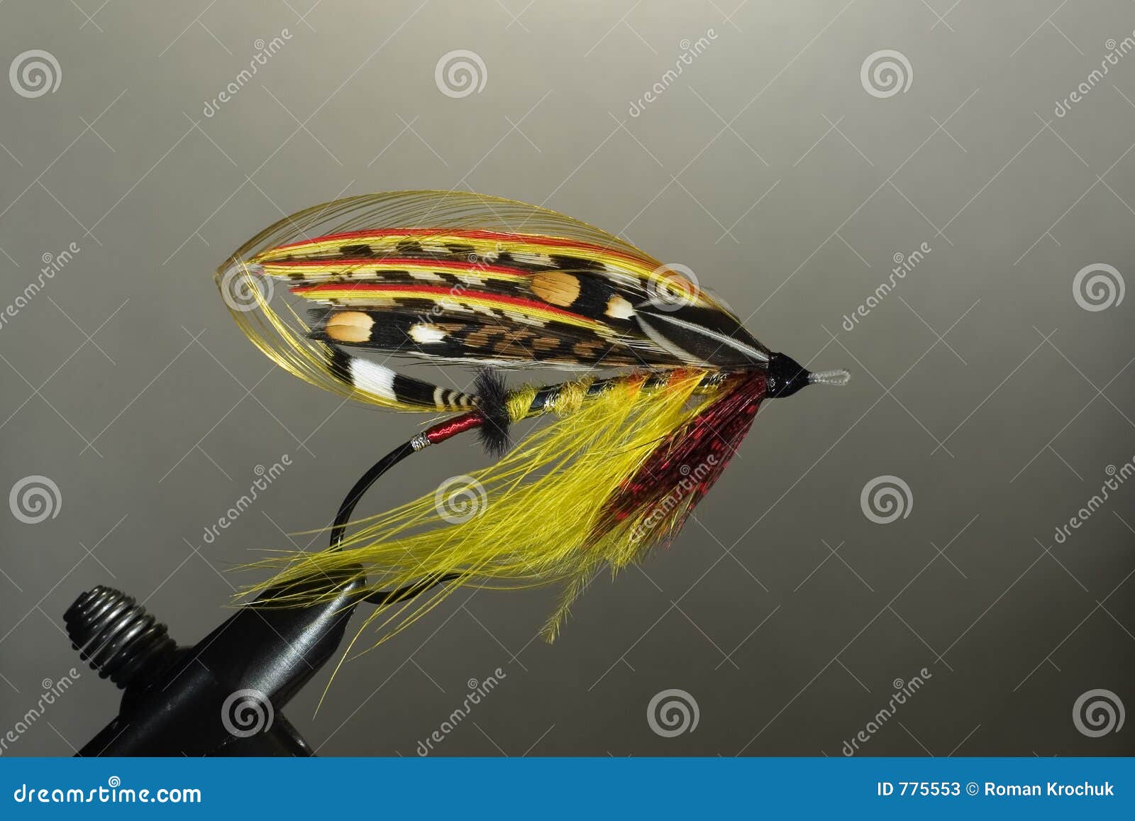 Salmon Fly With Jungle Cheeks - Fly Fishing Stock Photography ...