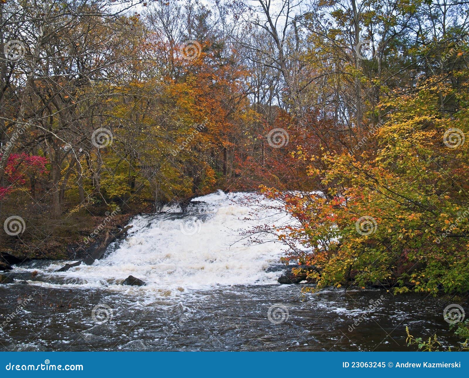 Full Fall Stream stock image. Image of leaves, forest - 23063245