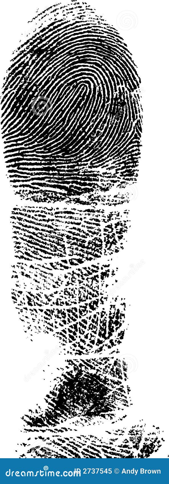 Full FingerPrint 2 stock vector. Illustration of information - 2737545