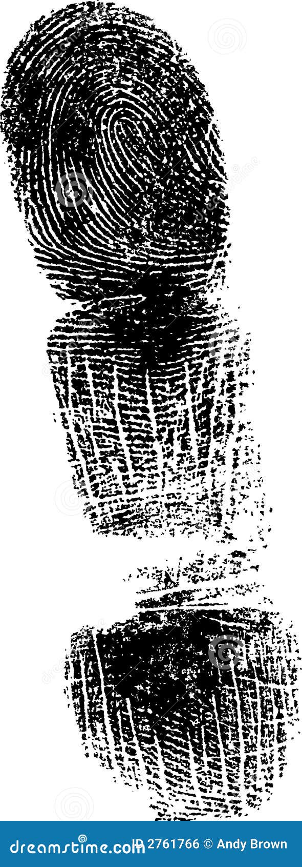 Full FingerPrint Picture. Image: 2761766