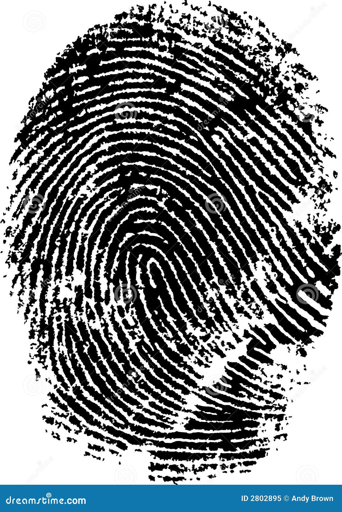 Full Fingerprint stock vector. Illustration of criminal - 2802895