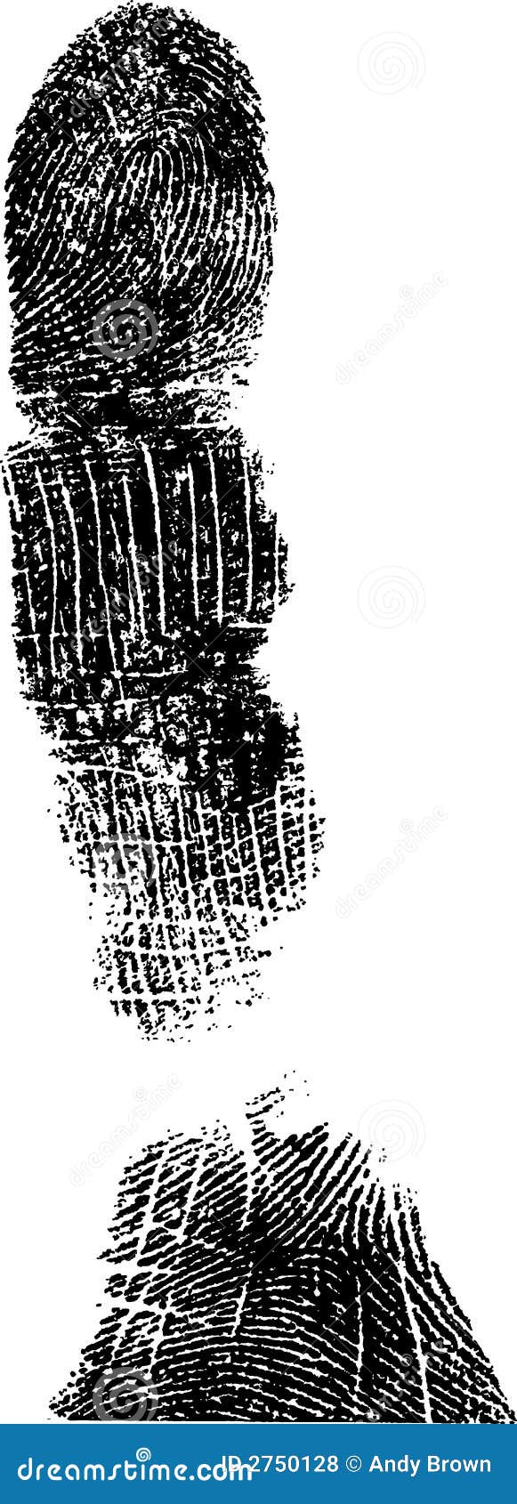 Full FingerPrint 3 Picture. Image: 2750128