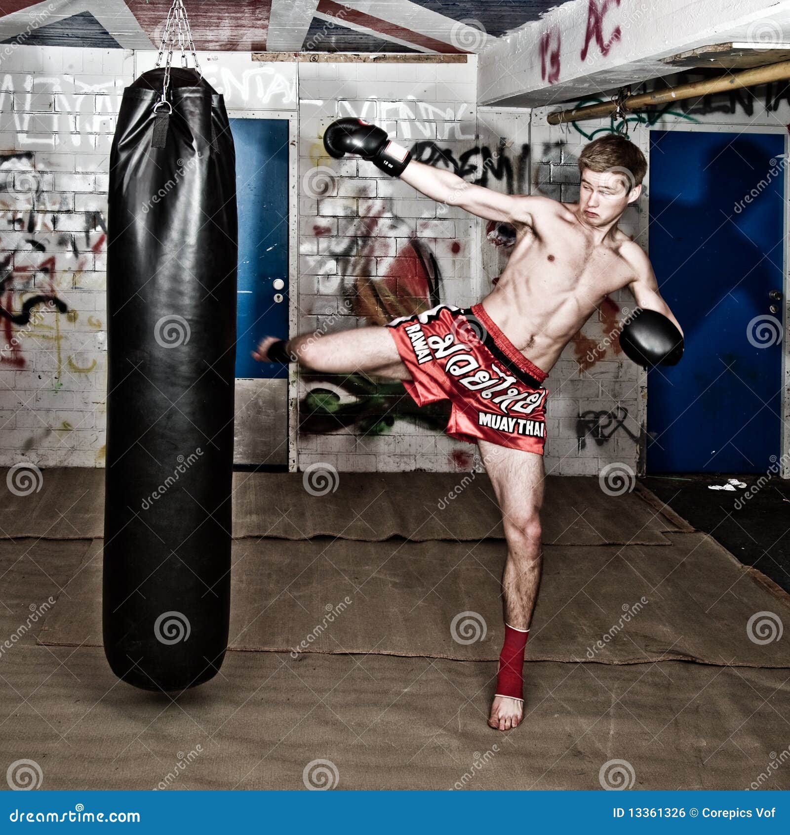 Full force kick stock photo. Image of arts, kick, person - 13361326