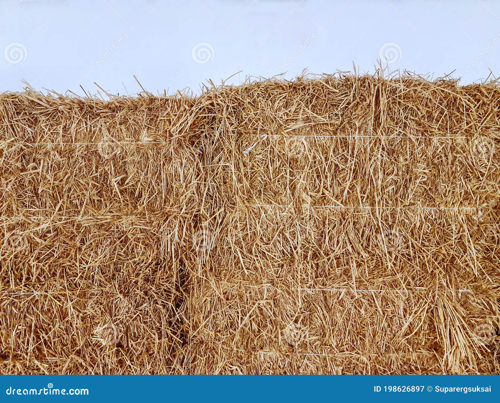 Background of Pile of Dry Haystack Against White Wall Stock Image ...