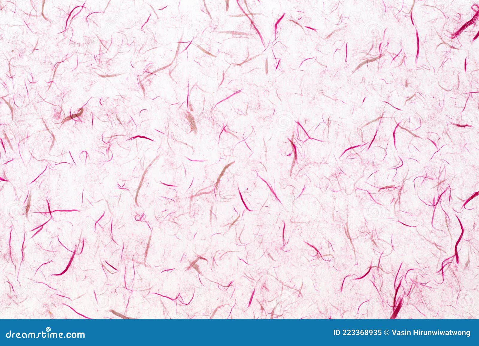 Full Frame Background Texture Image Has a Pulp Pattern and Transparent ...