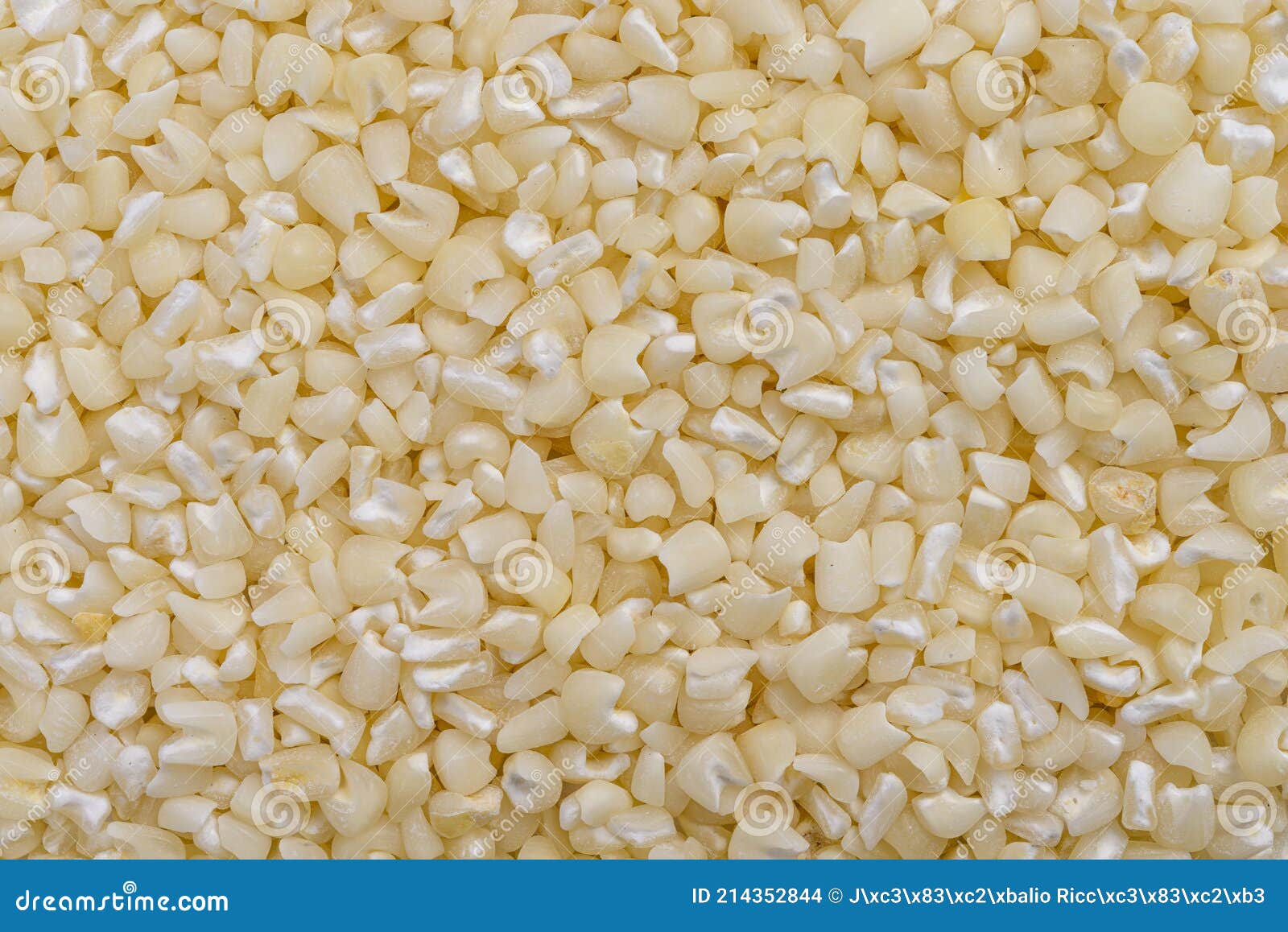 Full Frame of Crushed White Corn Kernels Stock Photo - Image of festa ...