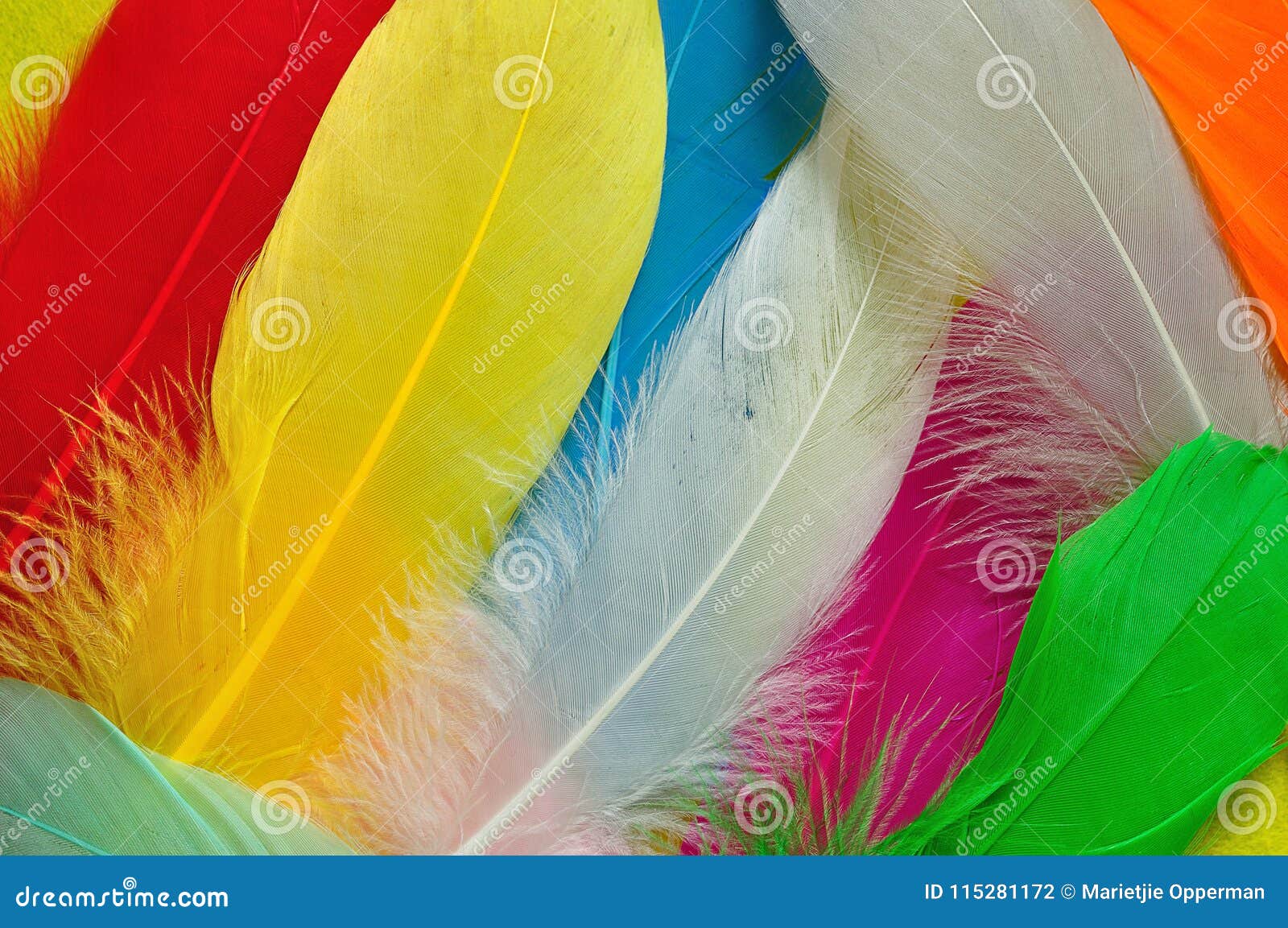 Full Frame of Colorful Feathers Stock Photo - Image of green, smooth ...