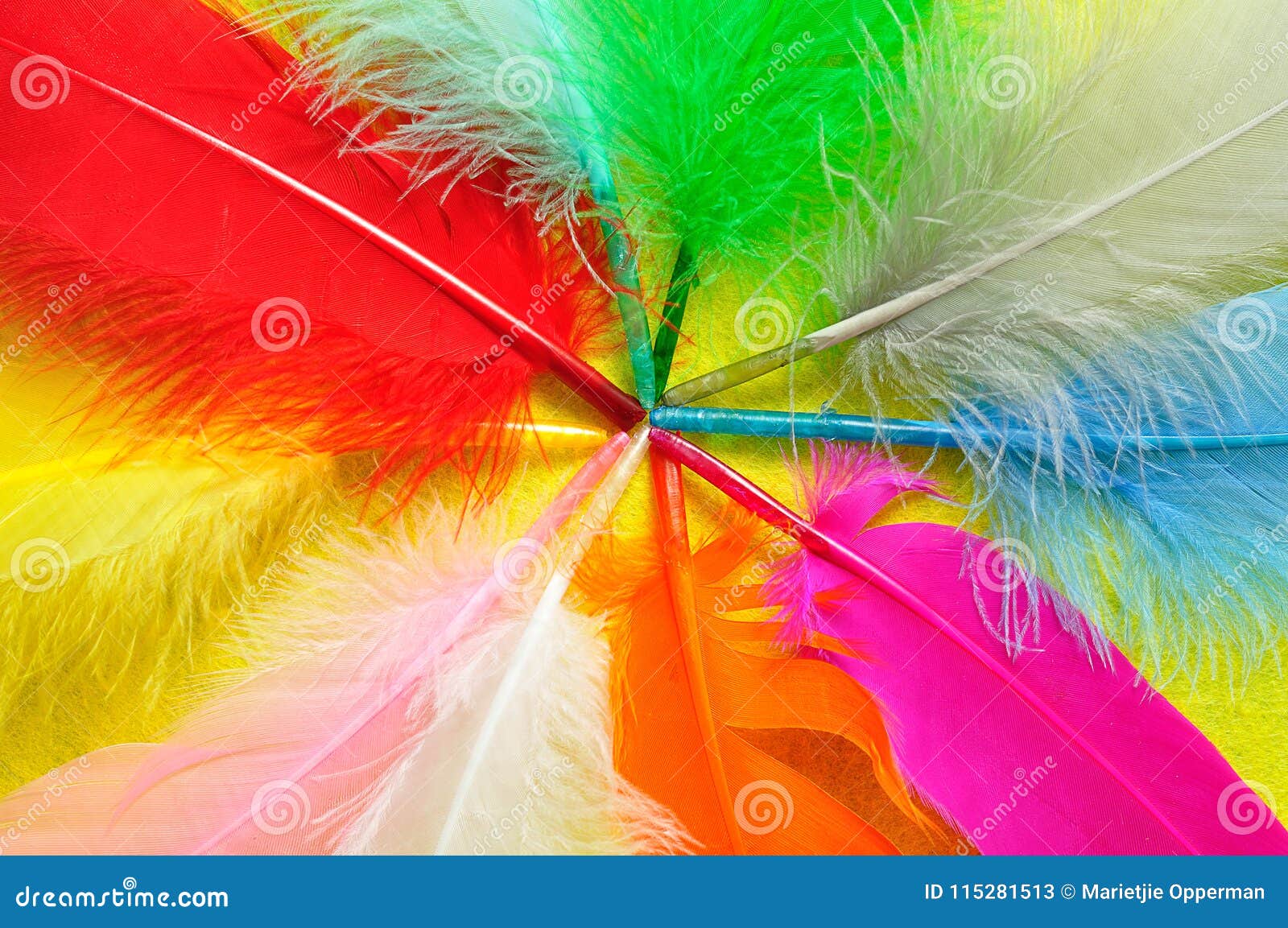 Full Frame of Colorful Feathers Stock Image - Image of frame, feather ...