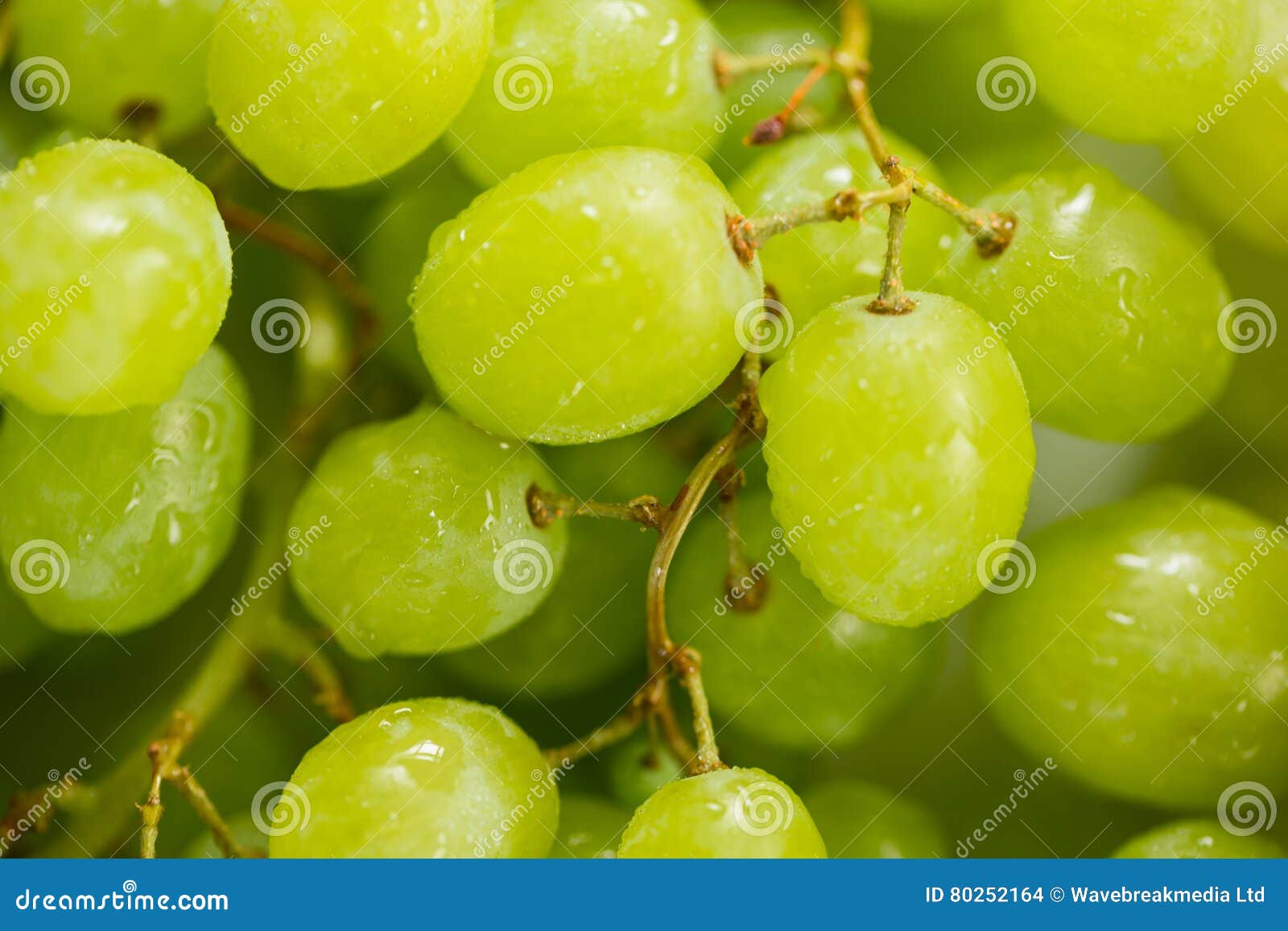 Full frame of grapes stock photo. Image of temptation - 80252164