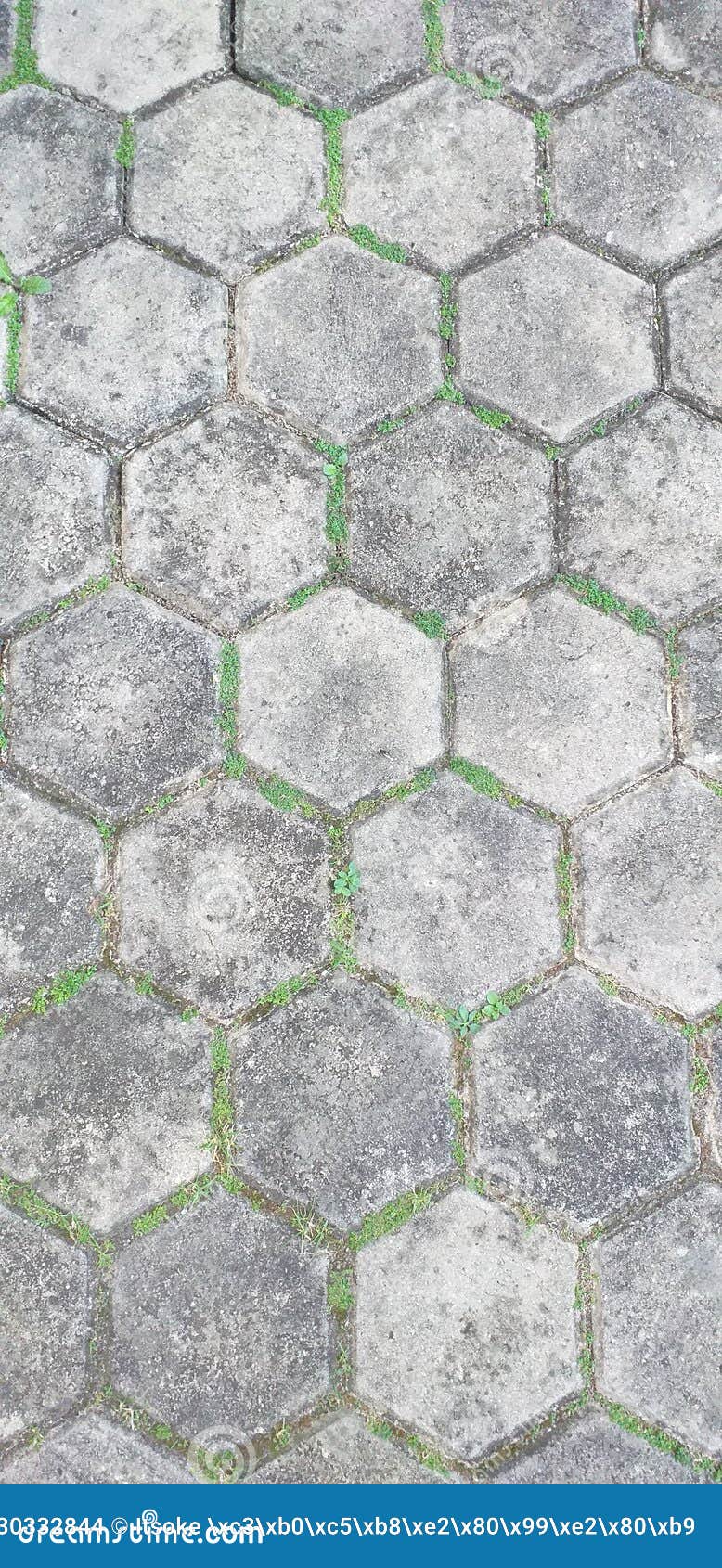 Hexagon Paving Stone Pattern Stock Photo - Image of architecture ...