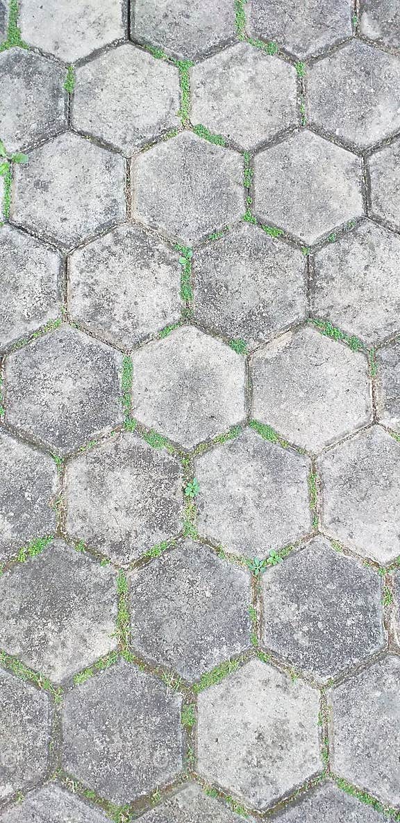 Hexagon Paving Stone Pattern Stock Photo - Image of architecture ...
