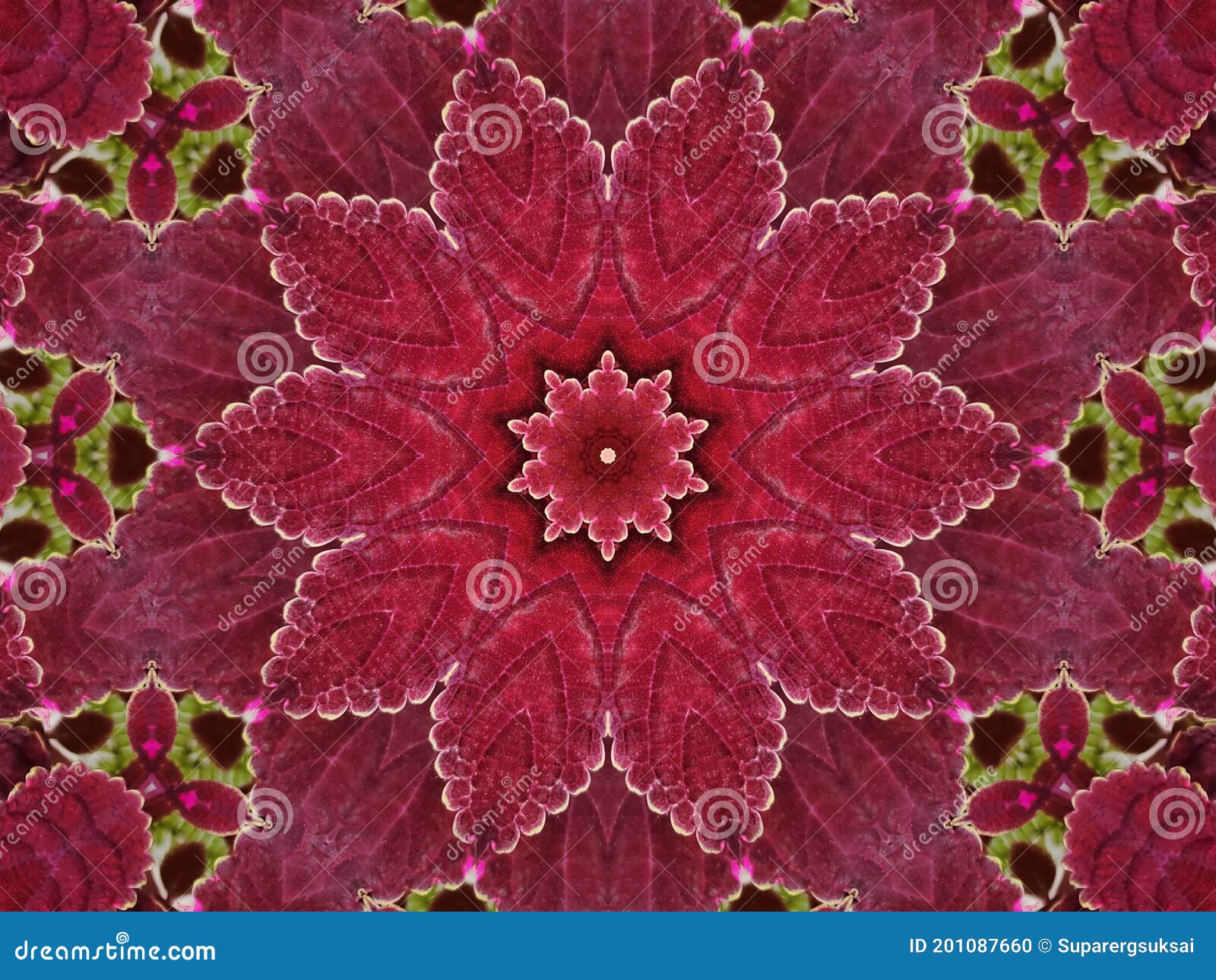 Illustrated Red Abstract Flower Pattern Stock Photo - Image of frame ...