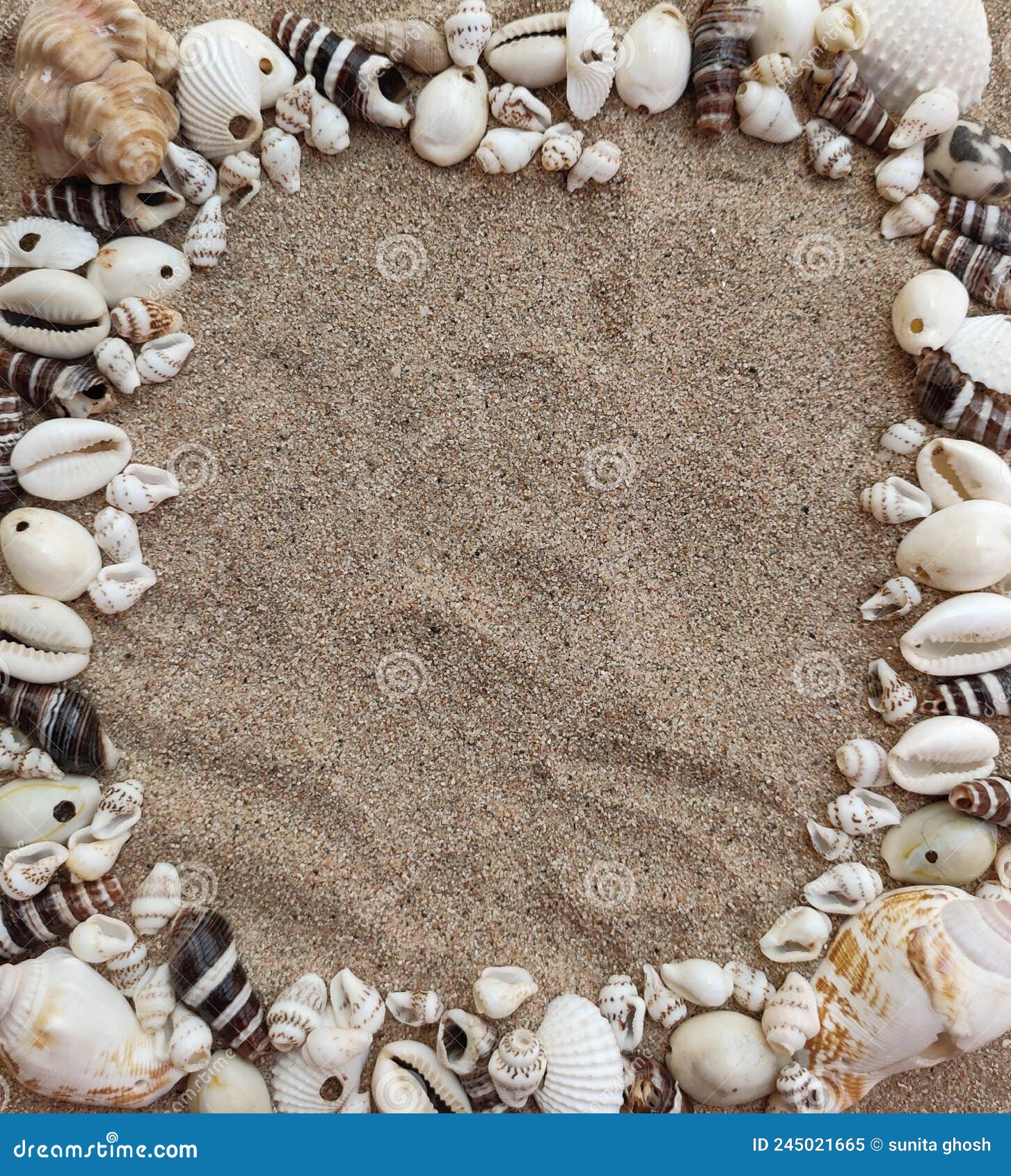 Full Frame Image of Arrangement of Seashells in Frame Shape on Sand ...