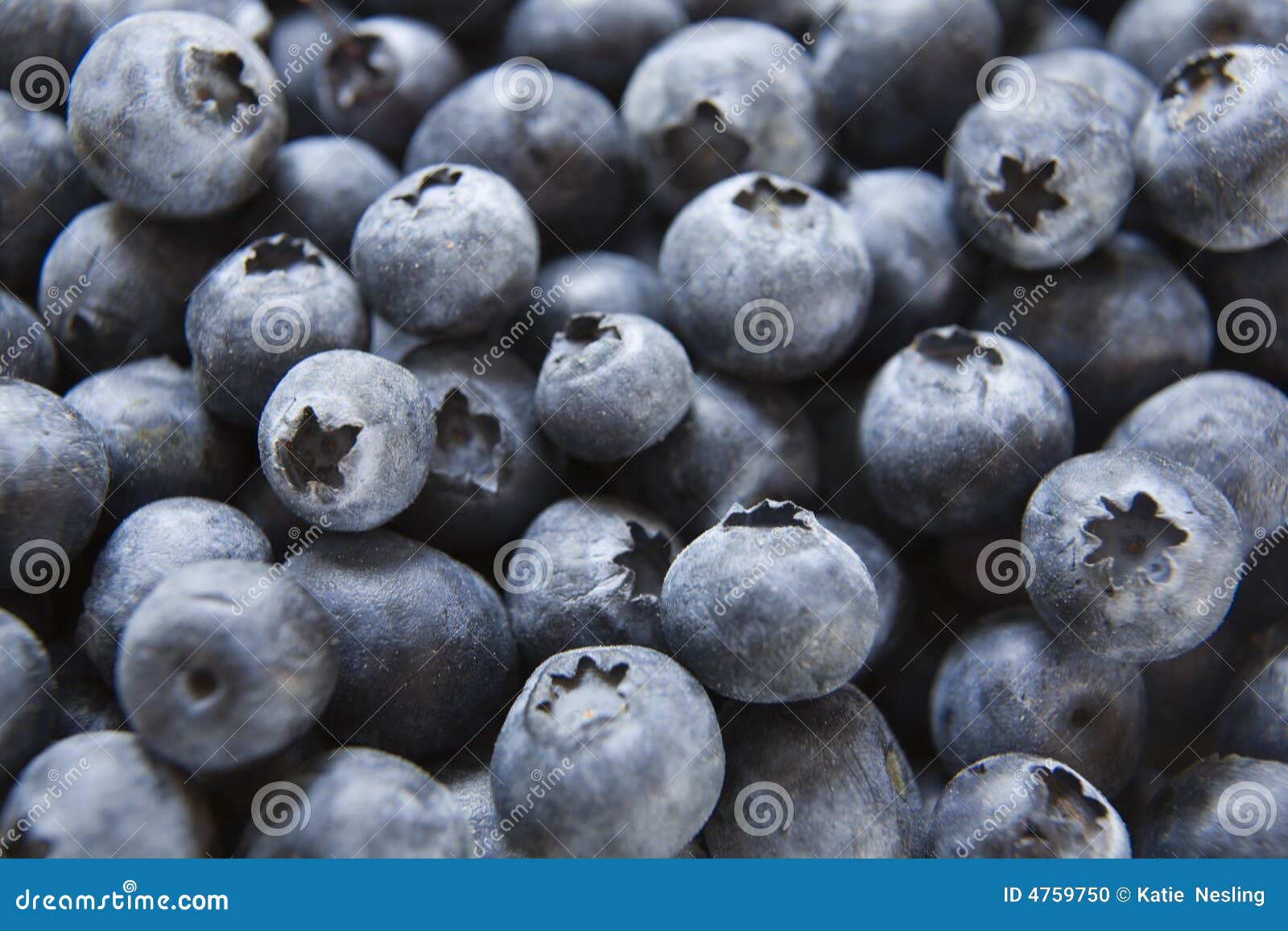 Full Frame Image of Blueberries Stock Photo - Image of food, superfood ...