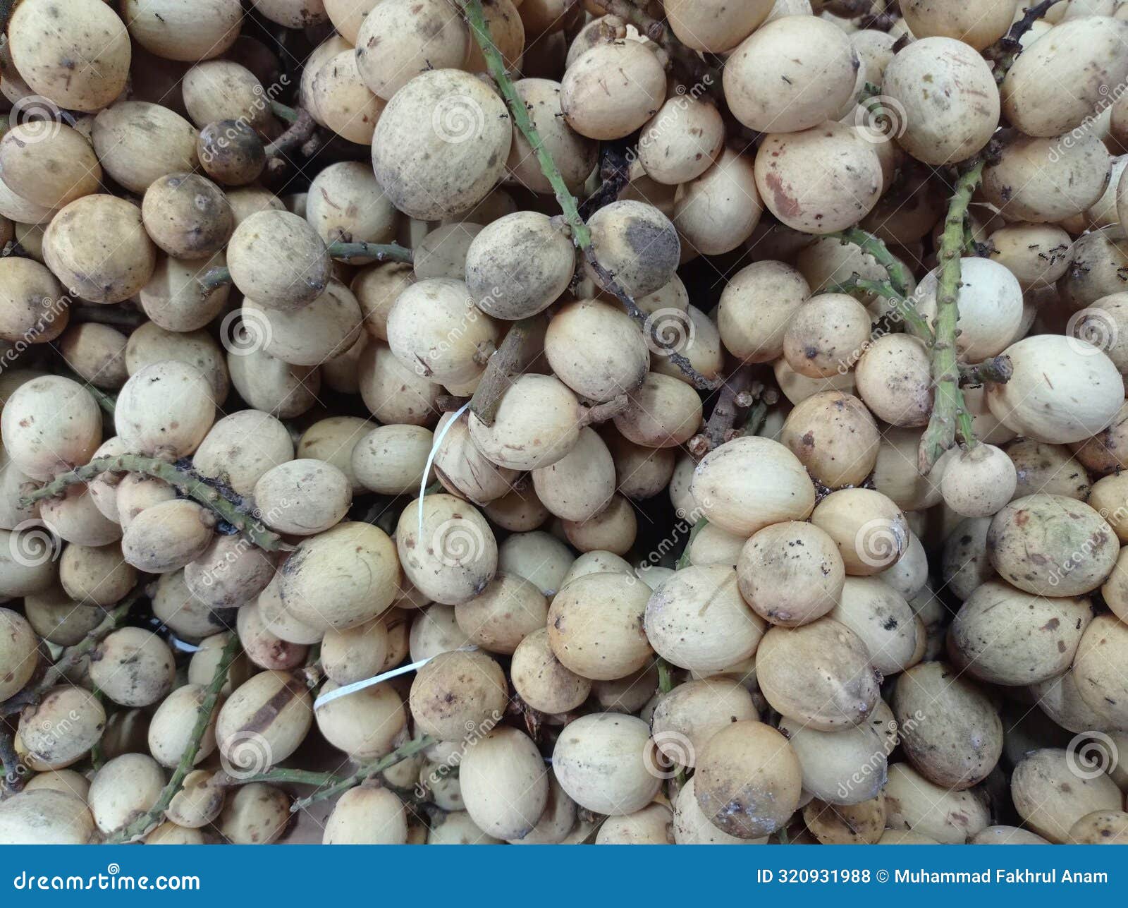 Full Frame of Langsat Fruit or Lansium Paraciticum Stock Photo - Image ...