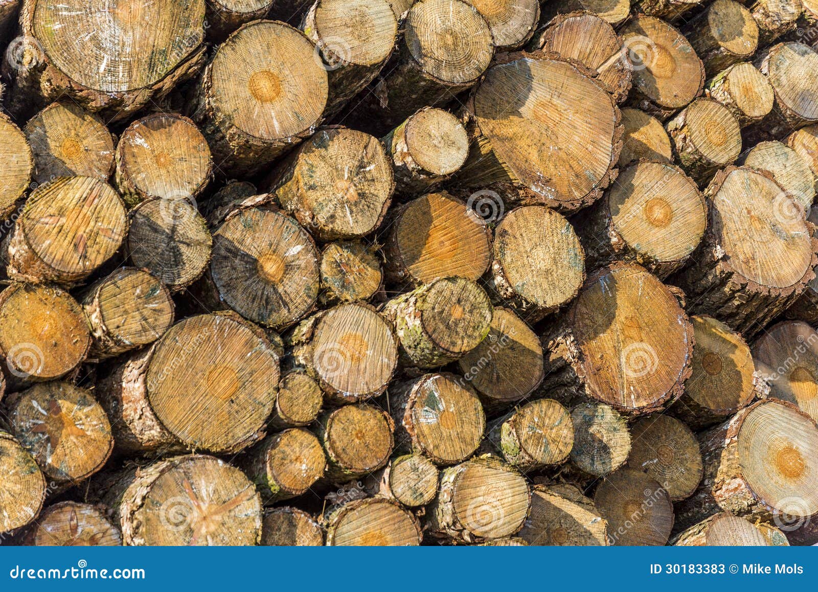Lumber wood stock image. Image of stack, frame, wood - 30183383