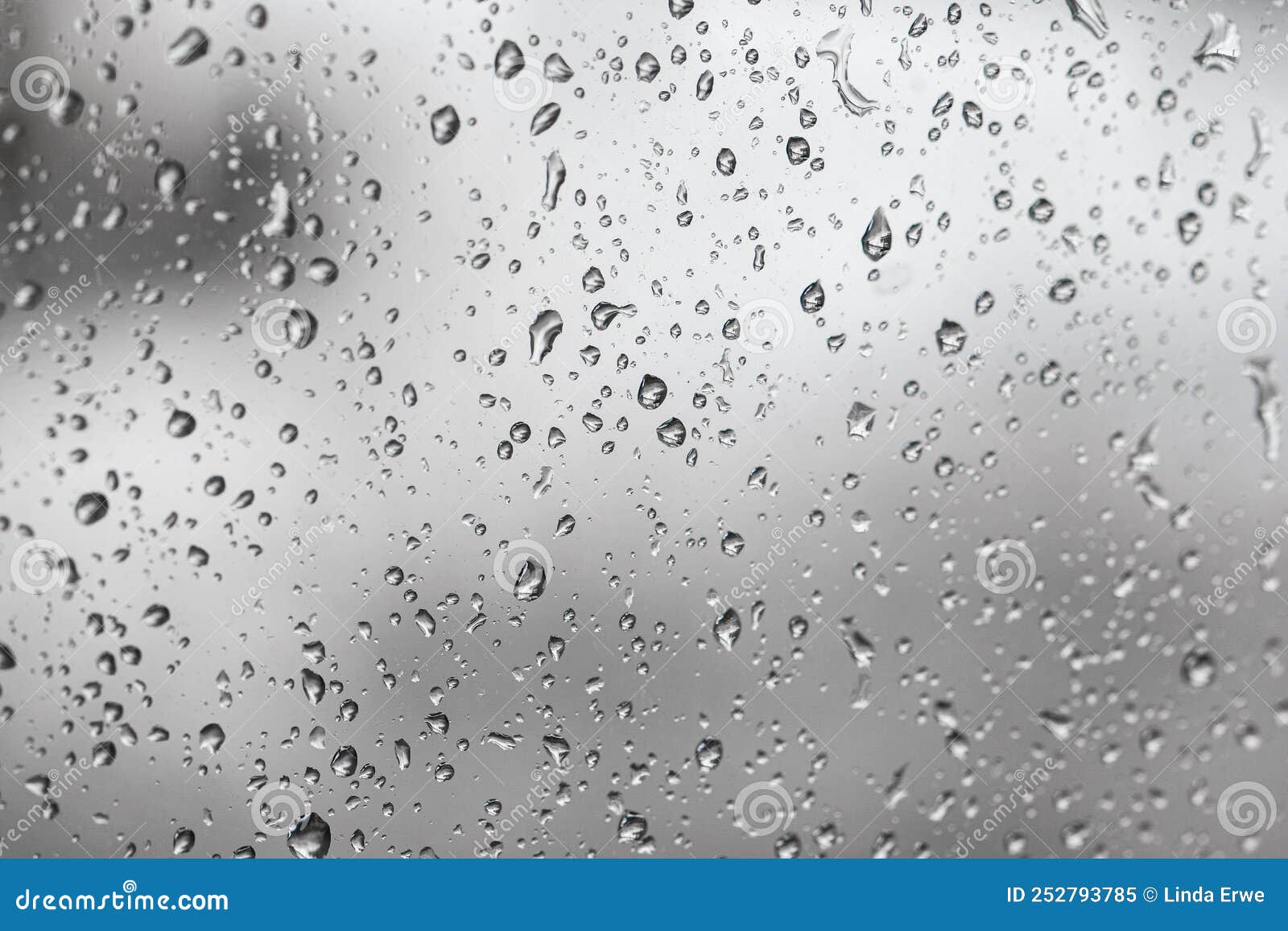 Full Frame Photo of Water Drops after Rain Stock Image - Image of ...